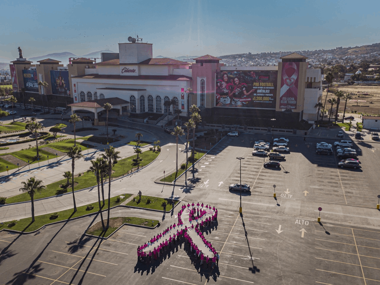 Hipódromo de Agua Caliente conmemora el Día Internaciona... - El Mexicano
