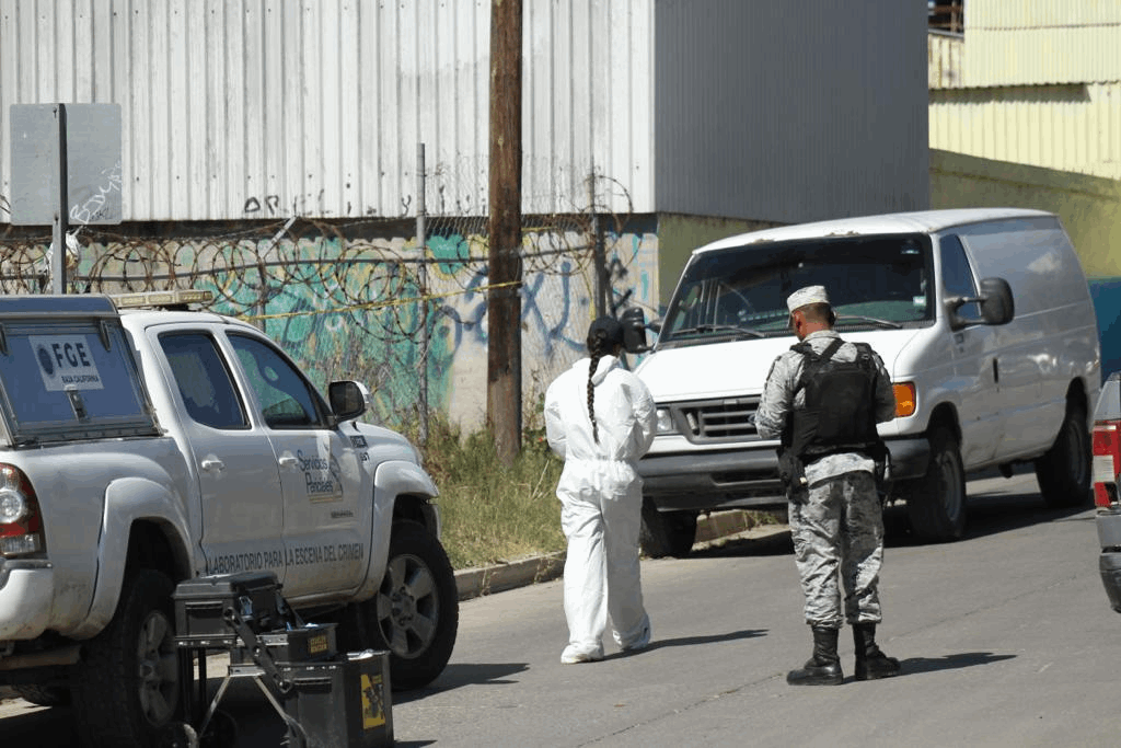 Hallan un cadáver sobre un predio baldío de la colonia L... - El Mexicano