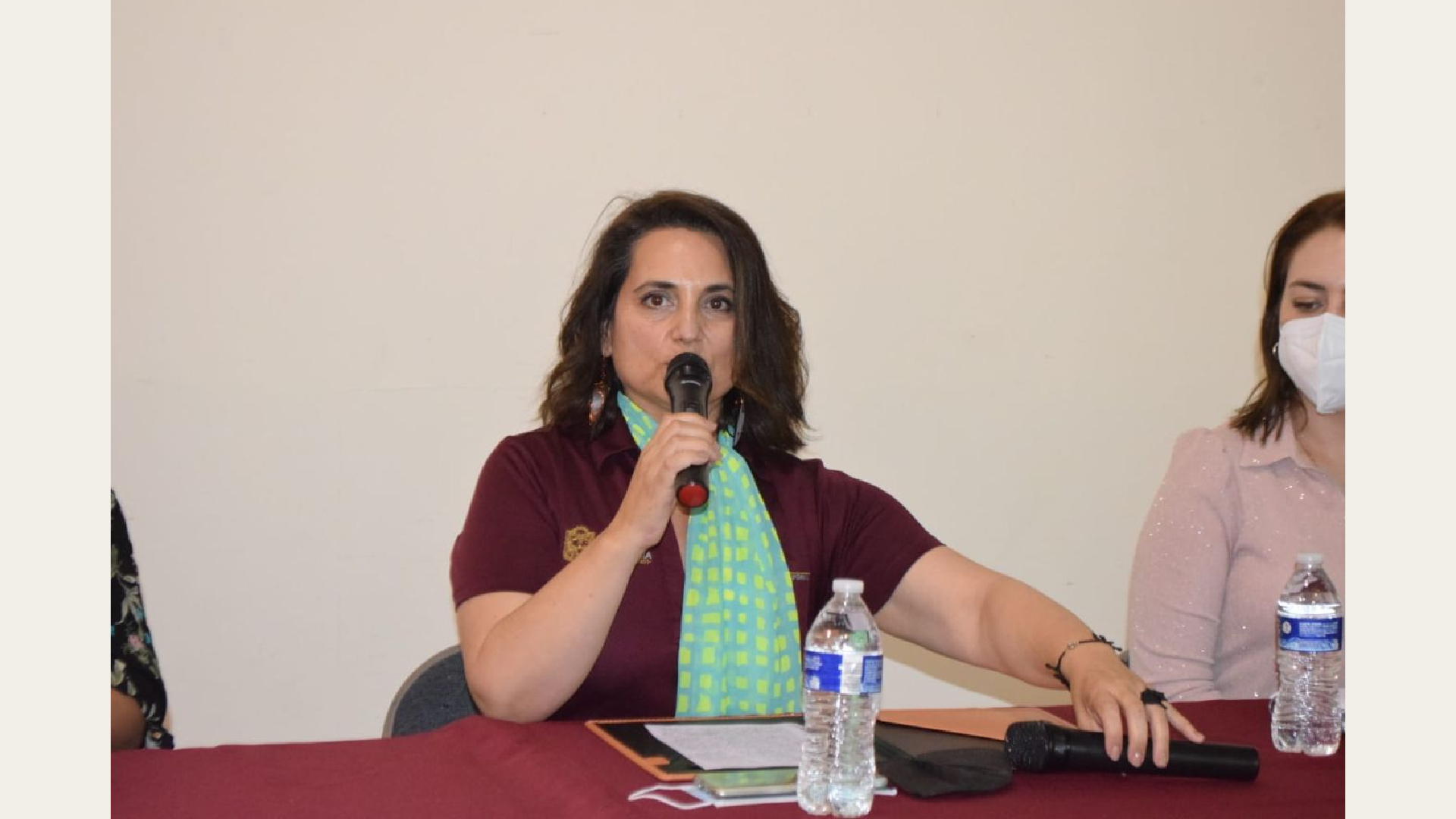 Presenta INMUJER BC programas de apoyo federales - El Mexicano