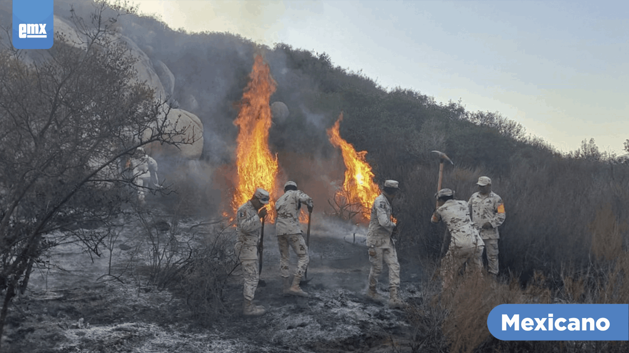 Ejército Mexicano combate incendio forestal en Tecate - El Mexicano