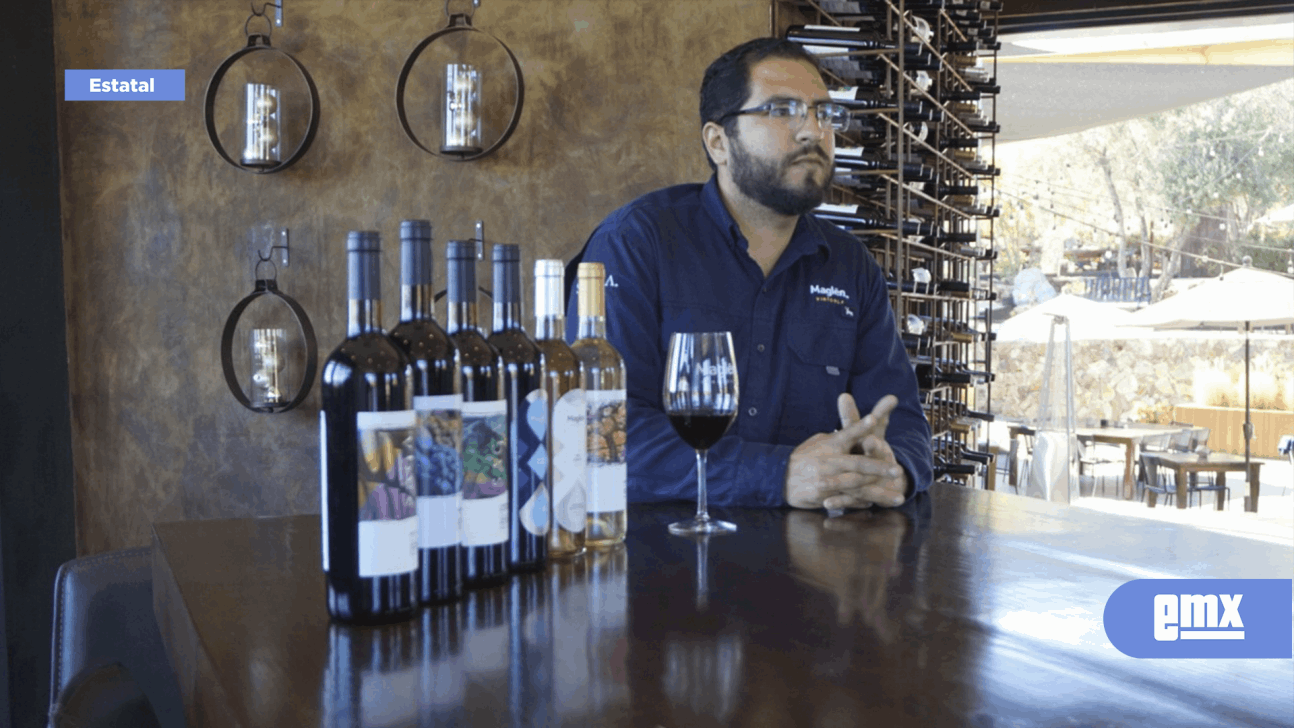 Vinos bajacalifornianos destacan con medallas en el Glob... - El Mexicano