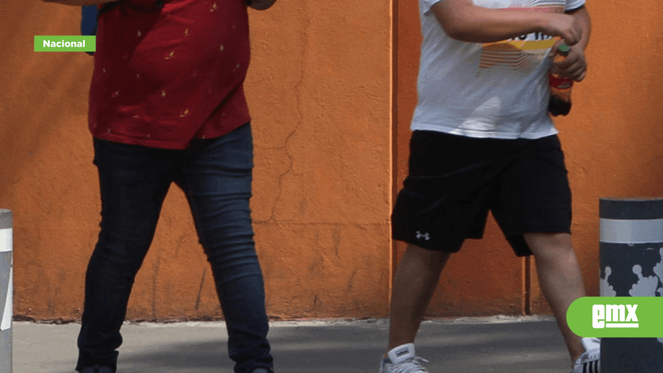 Nuevo León ocupa el primer lugar en obesidad infantil - El Mexicano Nuevo León ocupa el primer lugar en obesidad infantil - El Mexicano