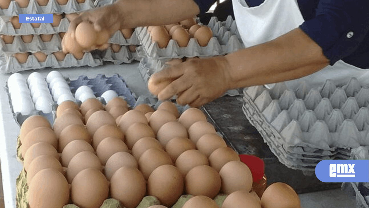 Sube el precio de los huevos - El Mexicano