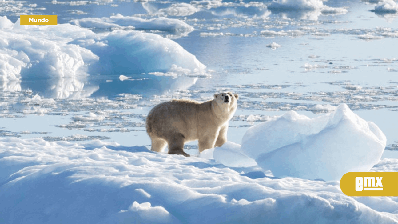 El Polo Norte se quedaría sin hielo para la década de 20... - El Mexicano