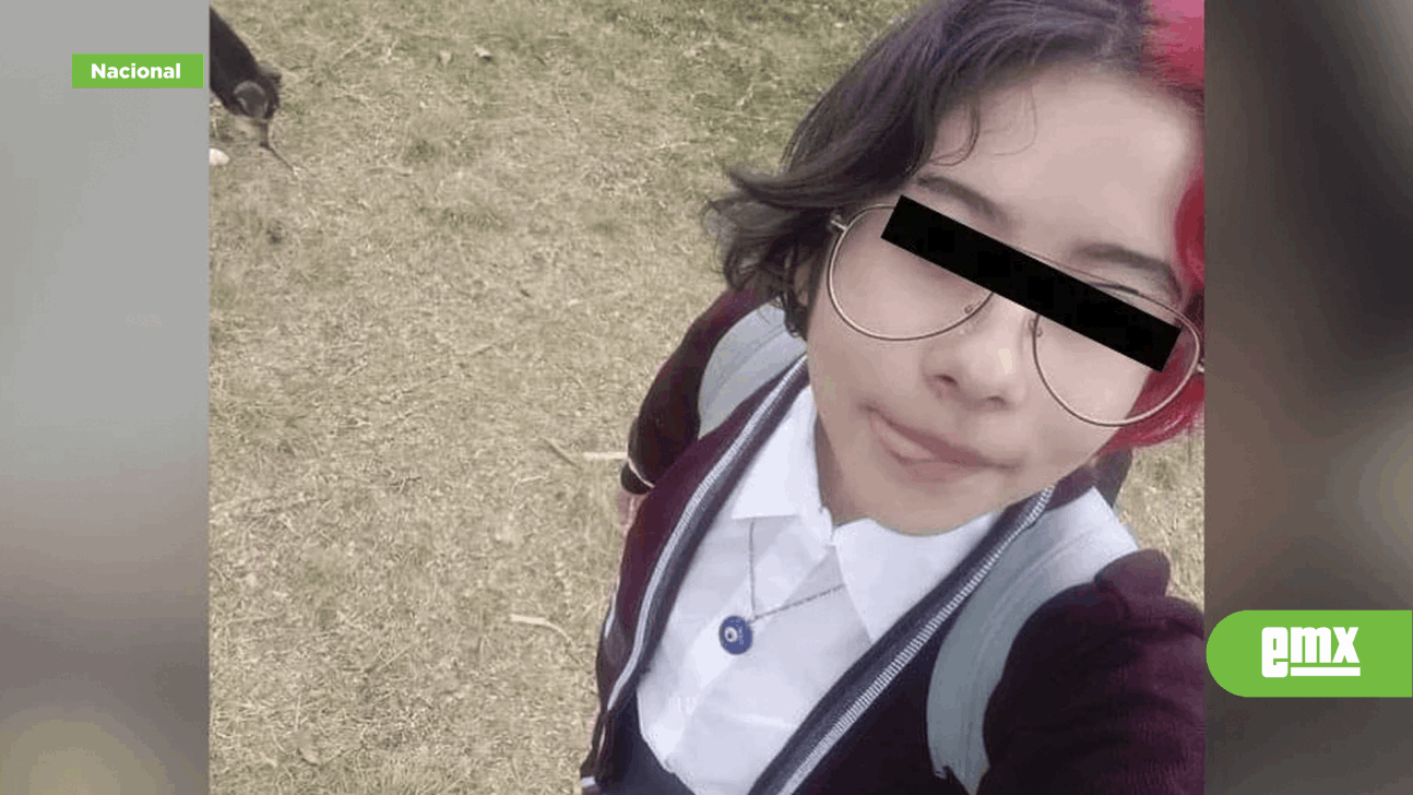 ¿qué Pena Recibiría Vanessa La Joven Que Mató A ‘huellitas En Puebla
