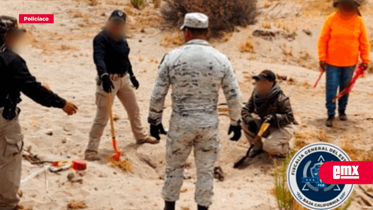 Realiza FGE operativo de búsqueda de personas desapareci... - El Mexicano