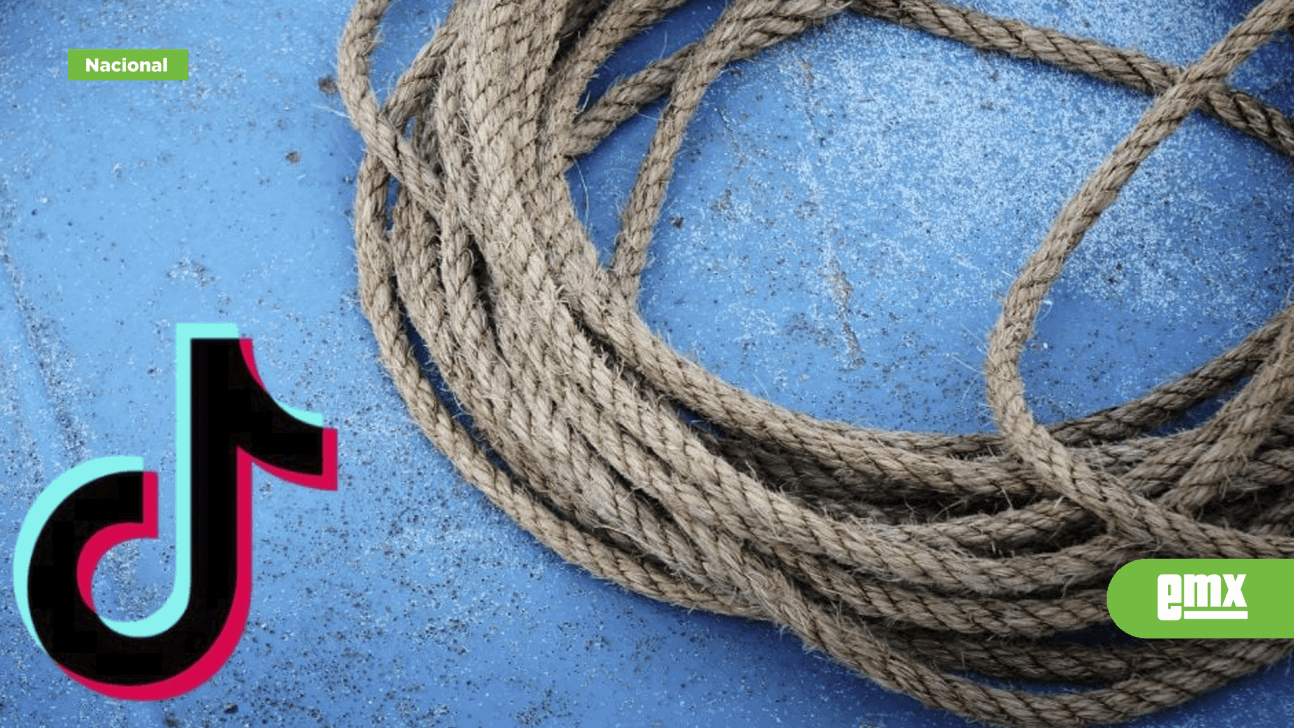 COBRA RETO DE TIKTOK LA VIDA DE DOS ESTUDIANTES DE 'SECU... - El Mexicano
