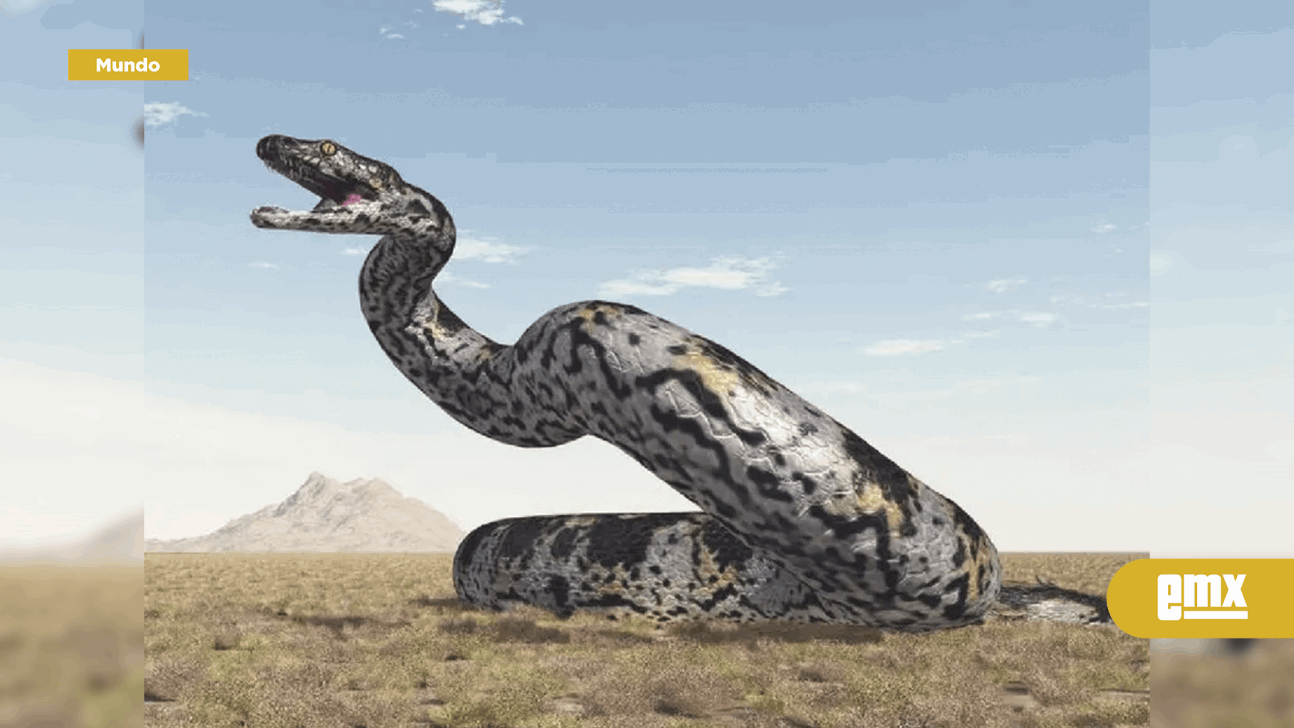 Descubren serpiente gigante de la India; es de las más g... - El Mexicano