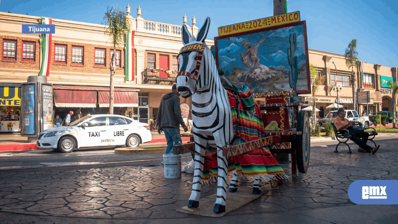 Presentan prototipo de madera para sustituir al burro ce... - El Mexicano