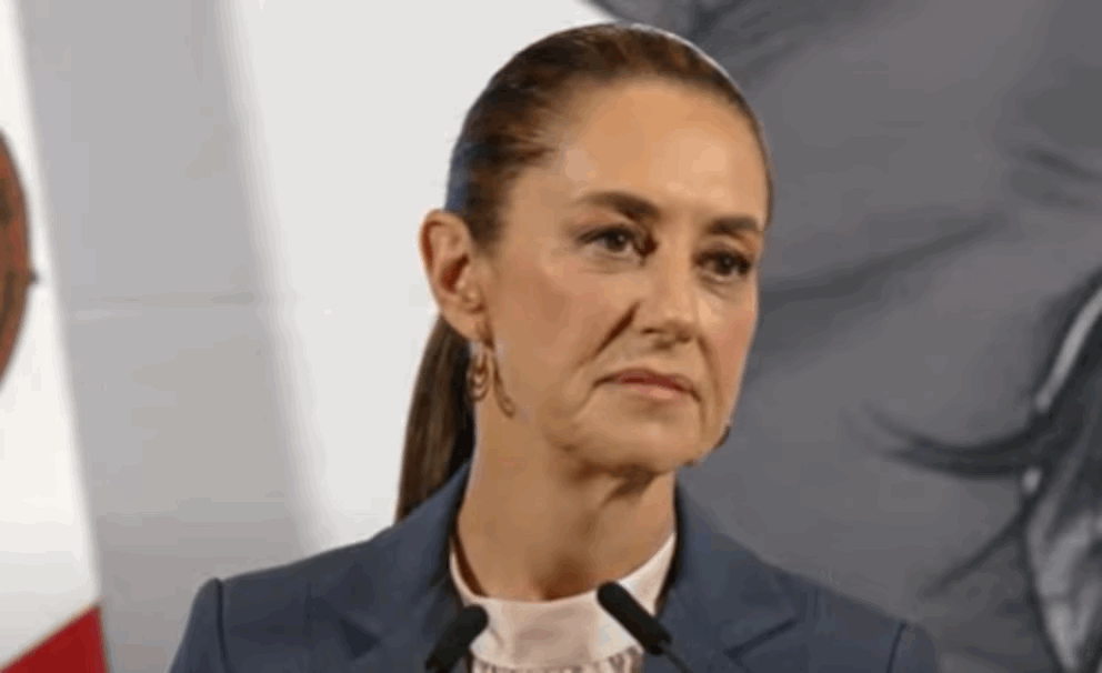 Sheinbaum reacciona a la detención de Malinali, hermana... - El Mexicano