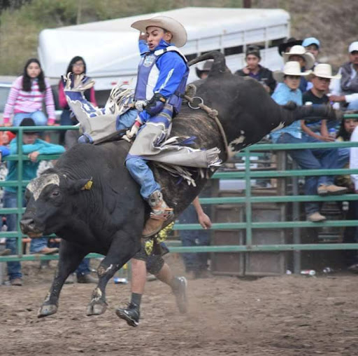 Vuelve Rodeo de Campeones Ensenada - El Mexicano